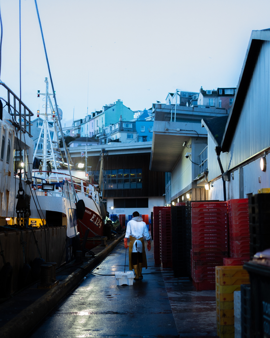Conscious Food Co | Brixham Fish | Wholesale | Fishmongers